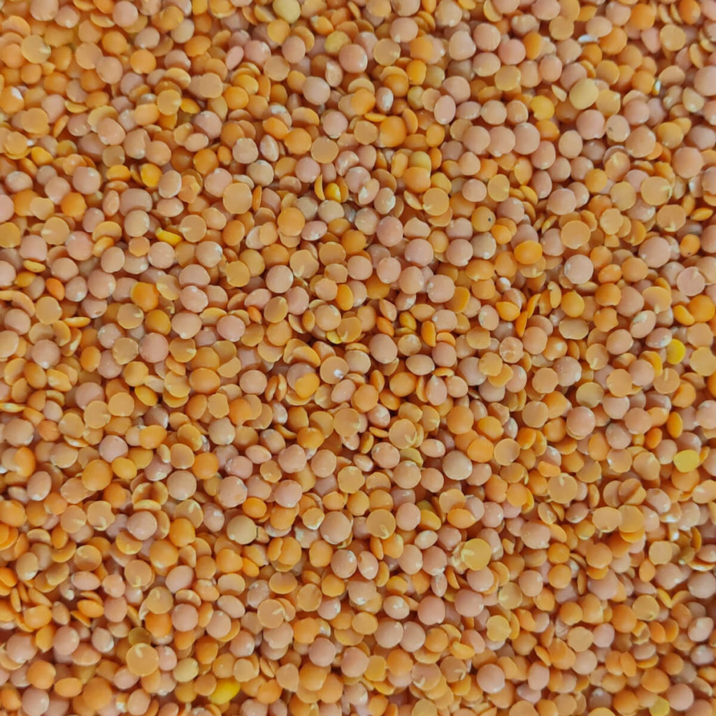 LENTILLES ROUGES « CORAIL », 25kg - La ronde du bio